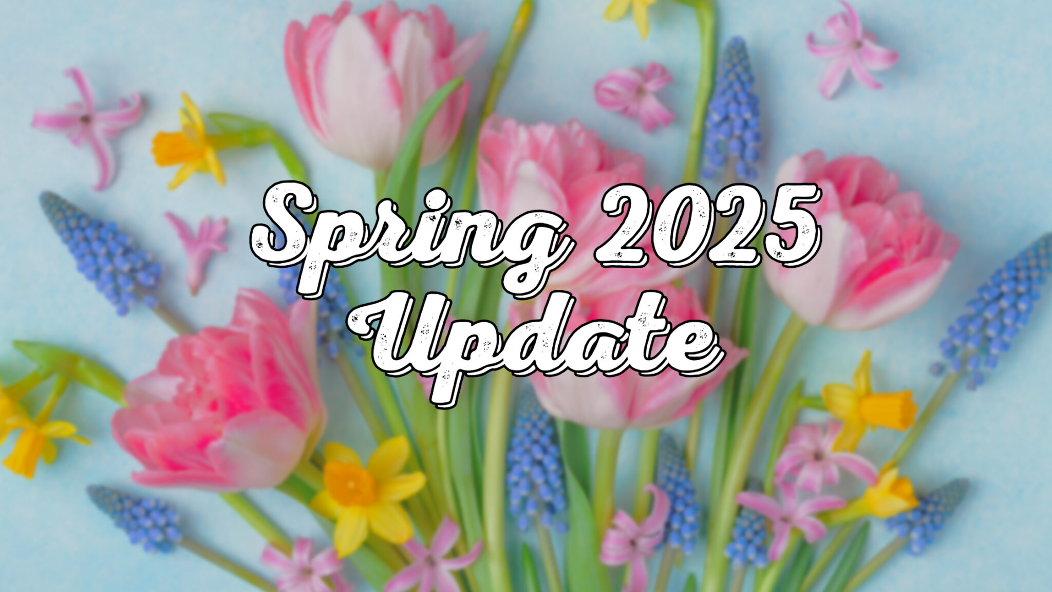 Spring 2025 Update - iHave iNeed Inc